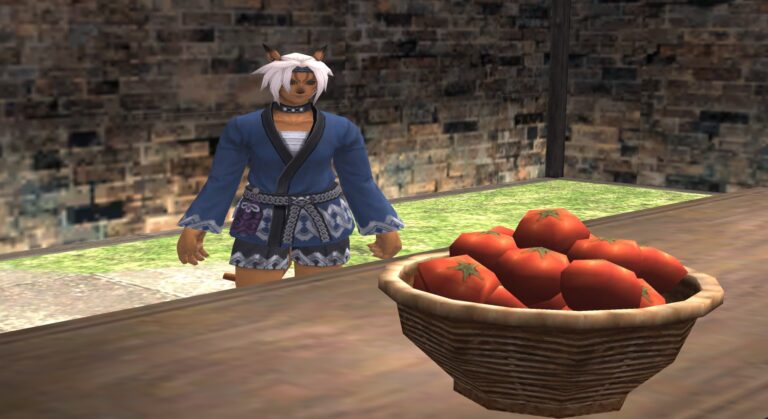 【FF11】08月のログインポイント何に使う？オススメ交換品紹介！【25】 | 拝啓、最下層より