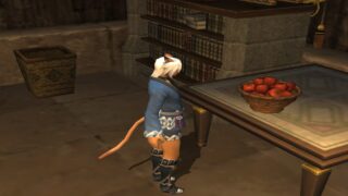 【FF11】08月のログインポイント何に使う？オススメ交換品紹介！【25】 | 拝啓、最下層より