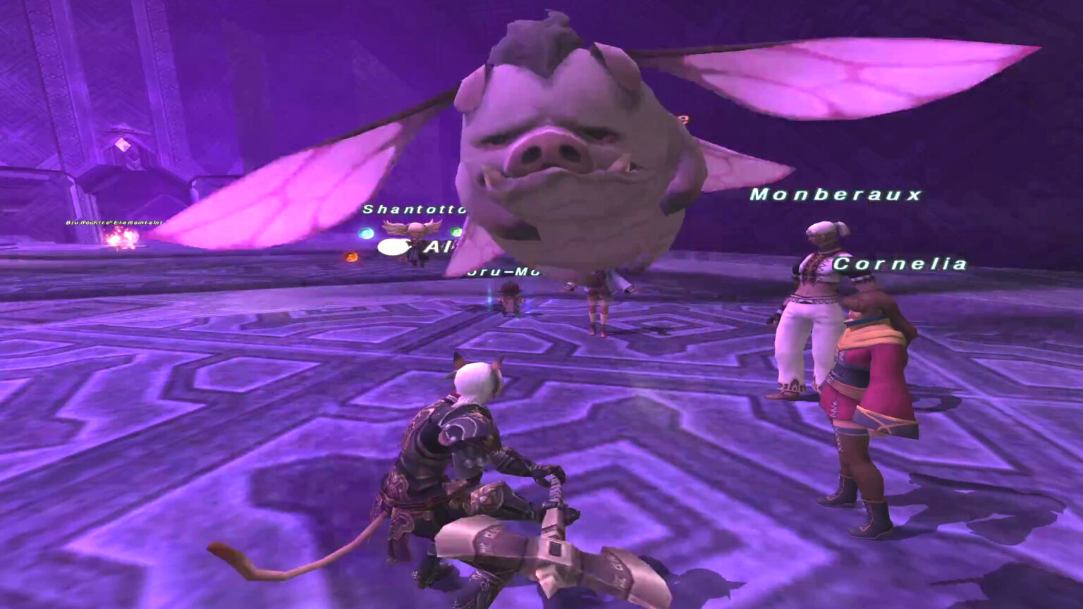 【FF11】エンジョイ勢の『ソーティ ♯B攻略』鍵と板を取りに行こう！ | 拝啓、最下層より